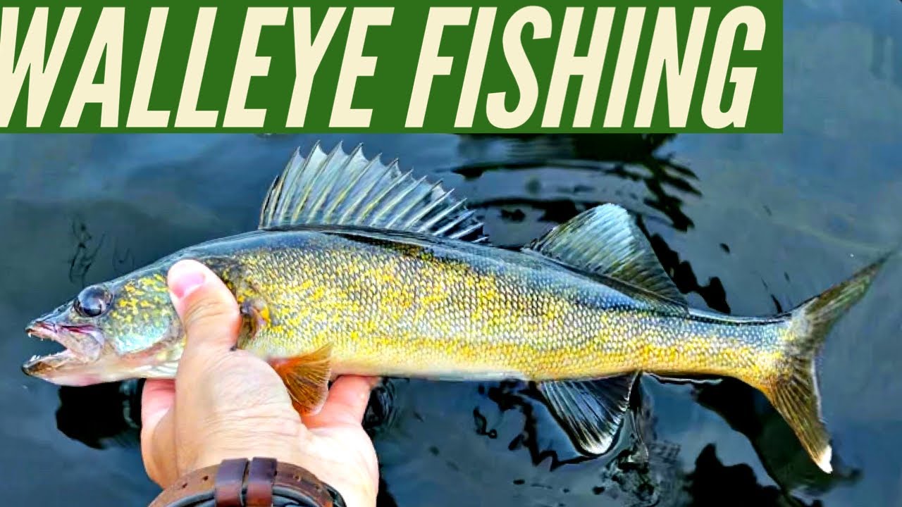 Walleye Fishing, Deer Lake, Michigans Upper Peninsula! - YouTube