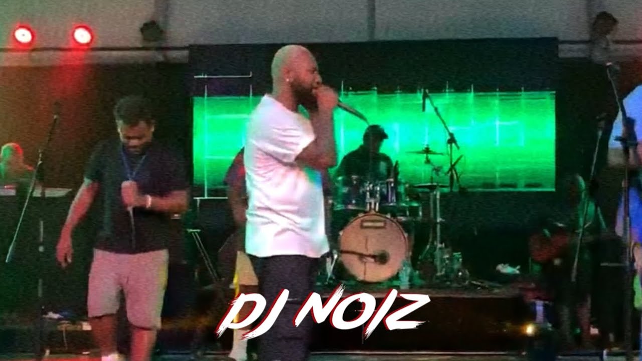 DJ Noiz - Never Knew Lonely (Megamix) ft. Sean Rii, Ladyfats - YouTube