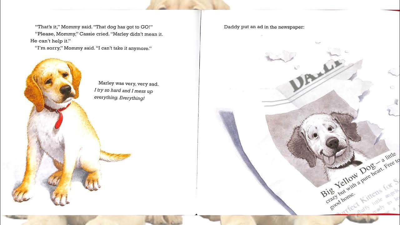 BAD DOG MARLEY - YouTube