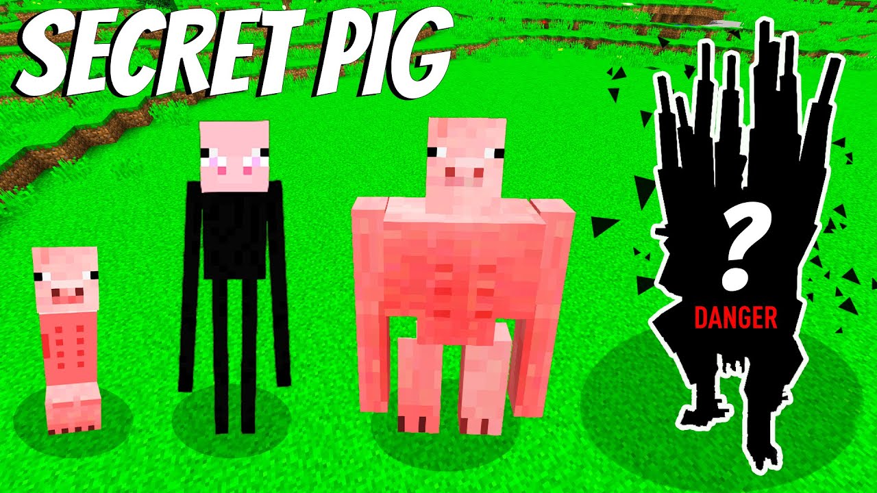 I found the RAREST PIG in Minecraft ! Whish SUPER PIG next ? How to ...