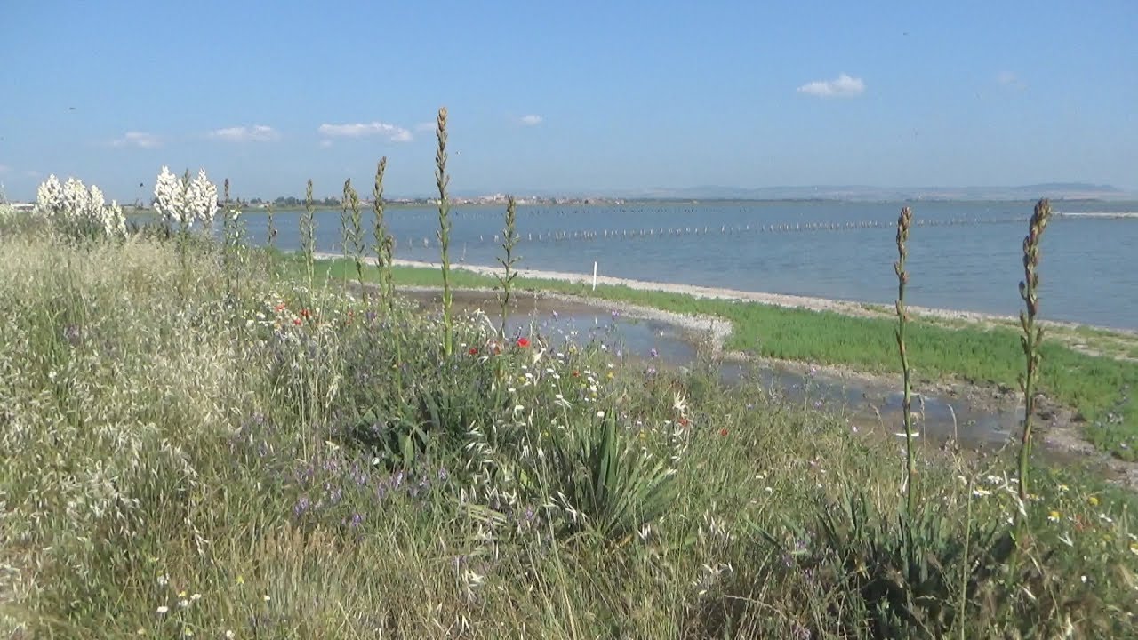 Salt Museum and Pomorie Lake - Pomorie, Bulgaria - YouTube