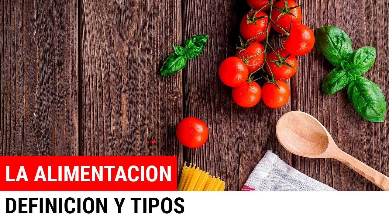 Definición de alimentación y su división - YouTube