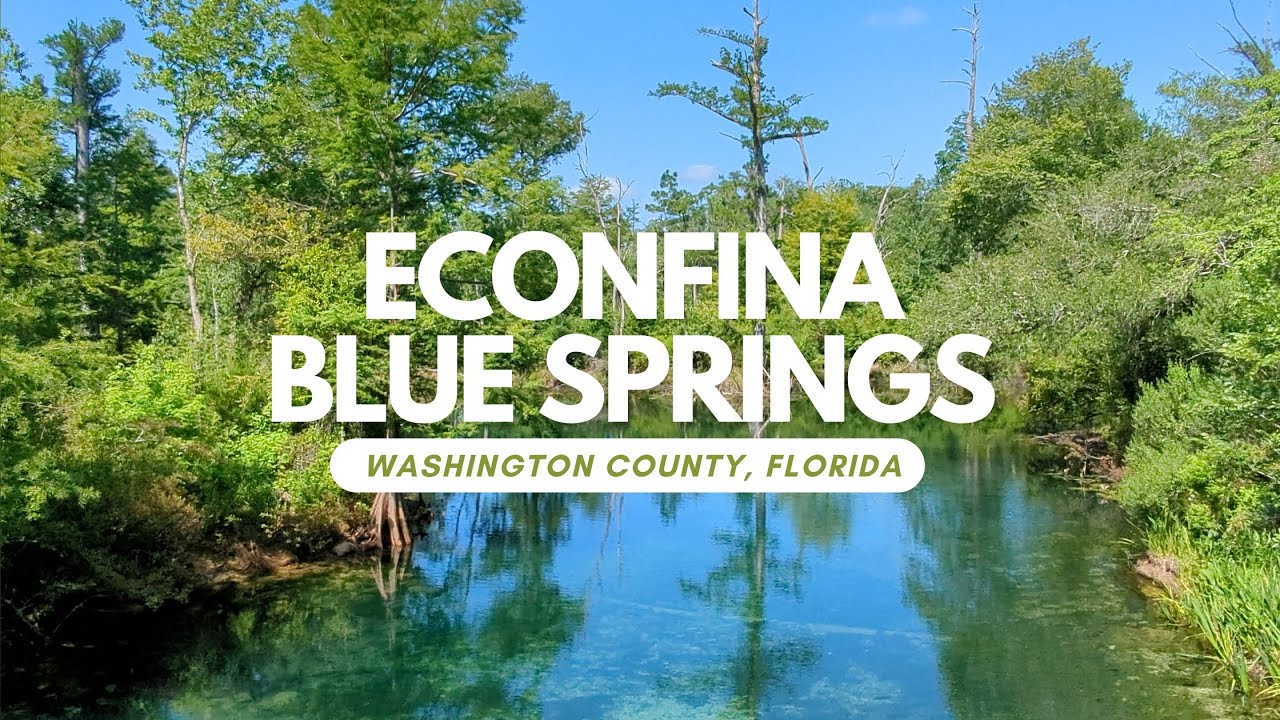 Econfina Blue Springs (Northwest Florida) #florida #outdoors #travel ...