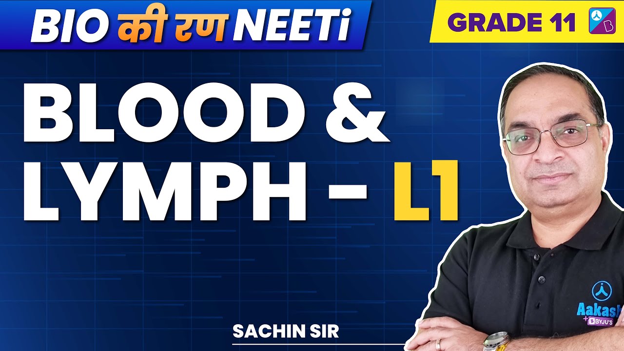 Body Fluids and Circulation Class 11 Biology - Blood and Lymph ...