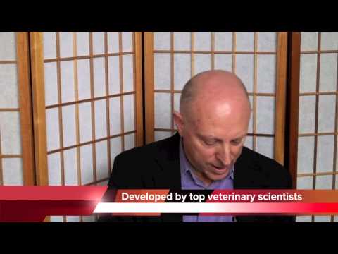 Protandim for Dogs - YouTube