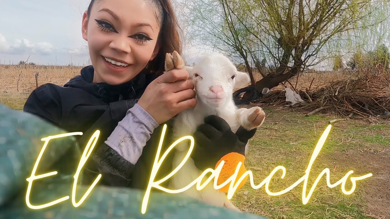 PEPPER PRINCESS | EL RANCHO - YouTube