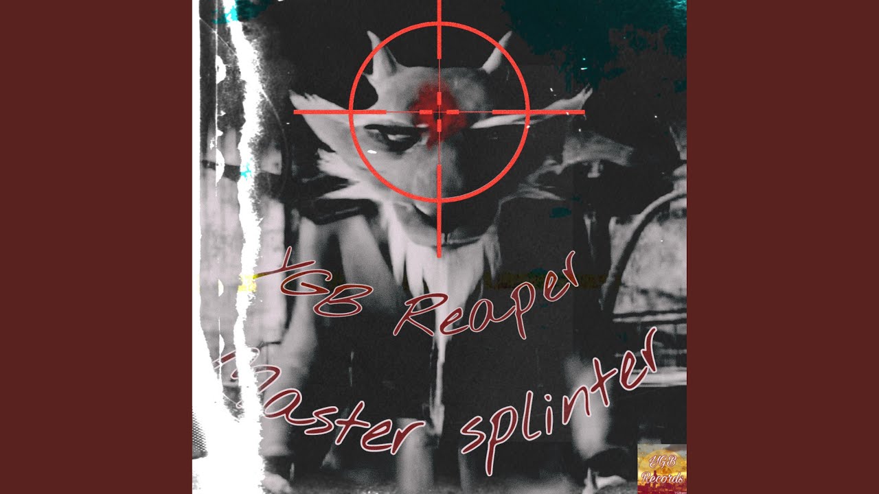 Master Splinter - YouTube