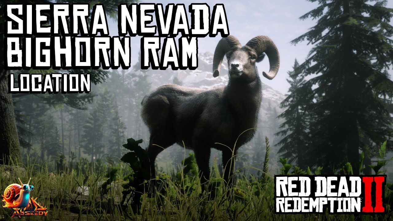 Sierra Nevada Bighorn Ram Location - Red Dead Redemption 2 - YouTube