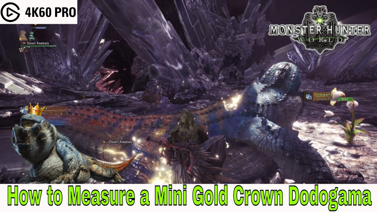 Monster Hunter: World - How to Measure a Mini Gold Crown Dodogama - YouTube