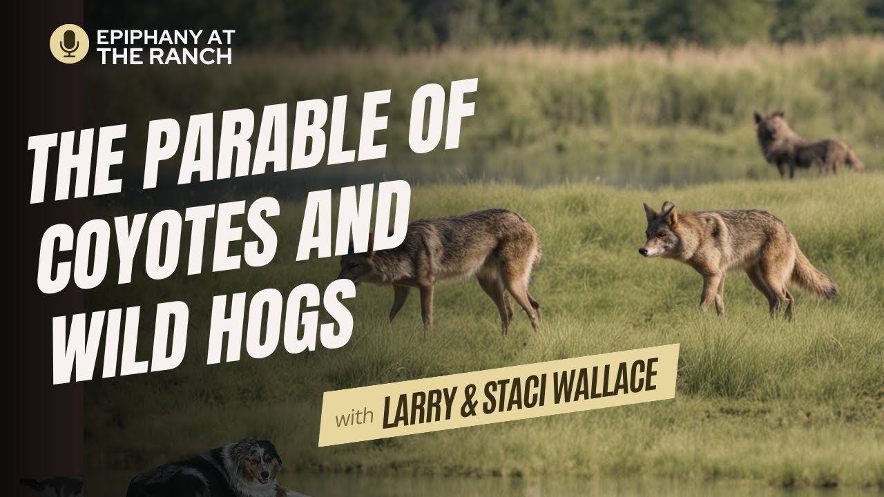 🚜 Epiphany at the Ranch 🚜 The Parable of Coyotes and Wild Hogs - YouTube