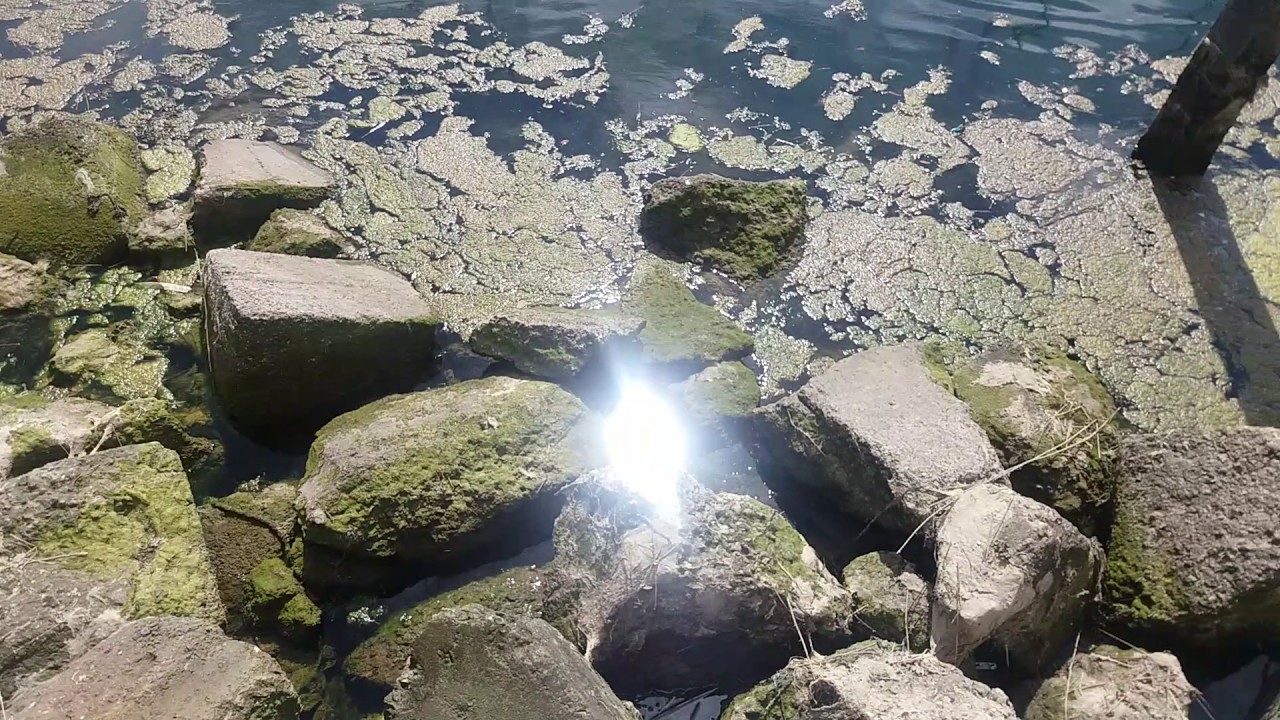 GadgBoy's Places SE1 EP8 Part 1 | Chichester Marina & Birdham Pool ...