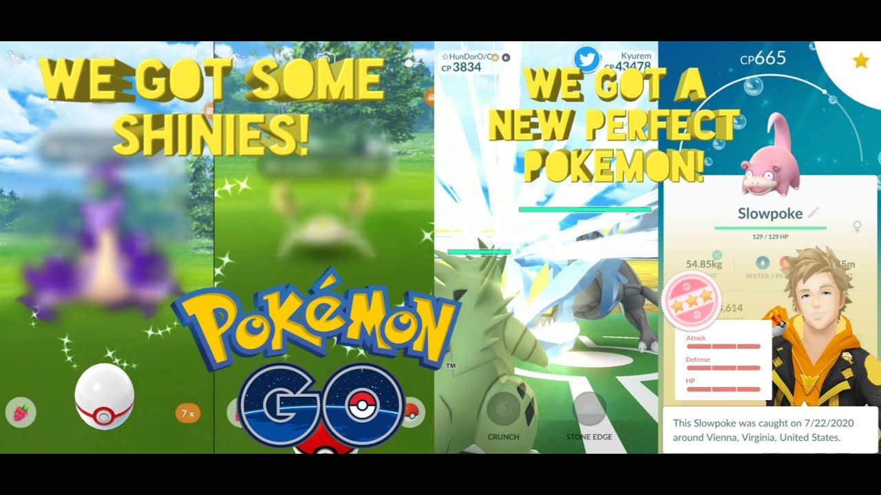 WE GOT A SHADOW SHINY POKEMON! FOUND A NEW PERFECT POKEMON! GO FEST ...