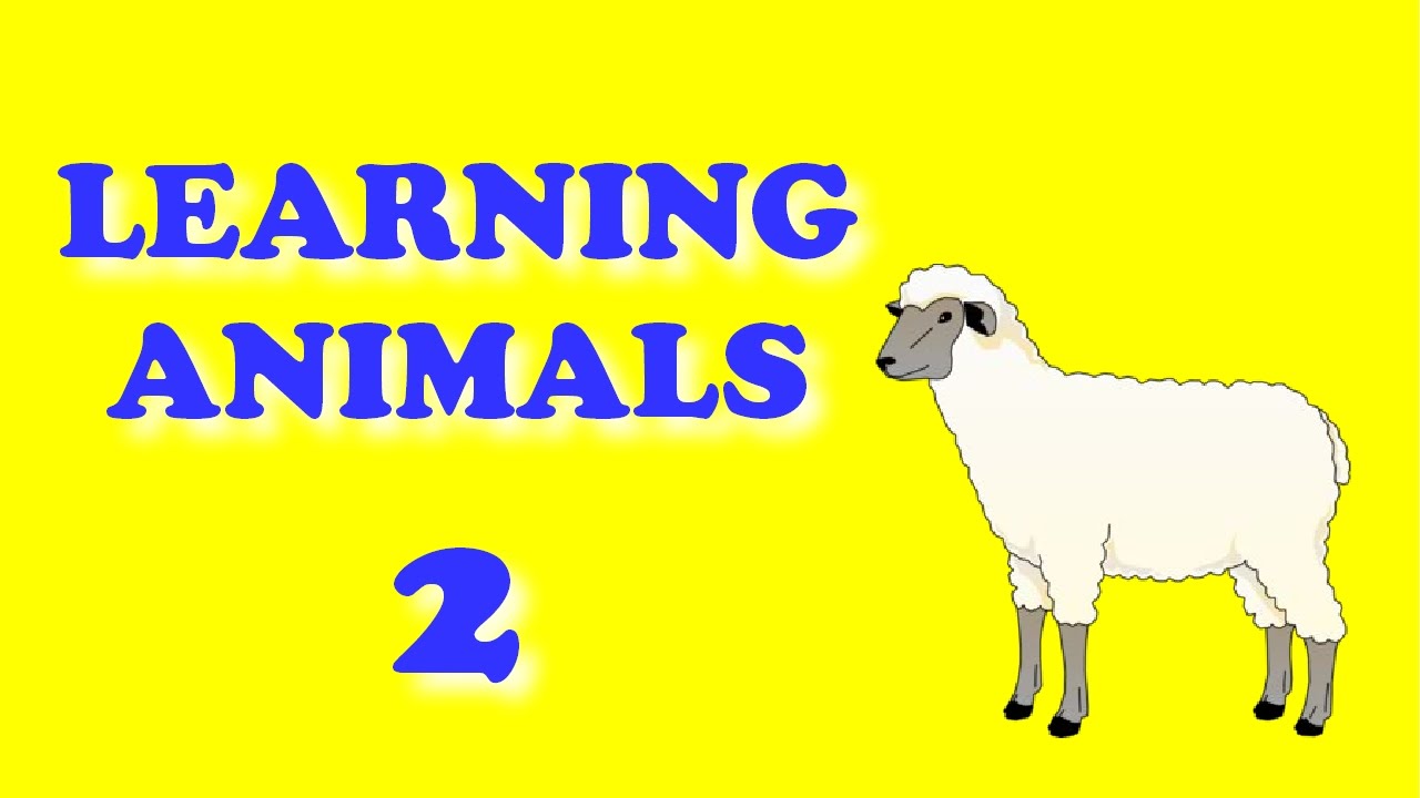 Learning Animals 2 - Childrens Video - YouTube