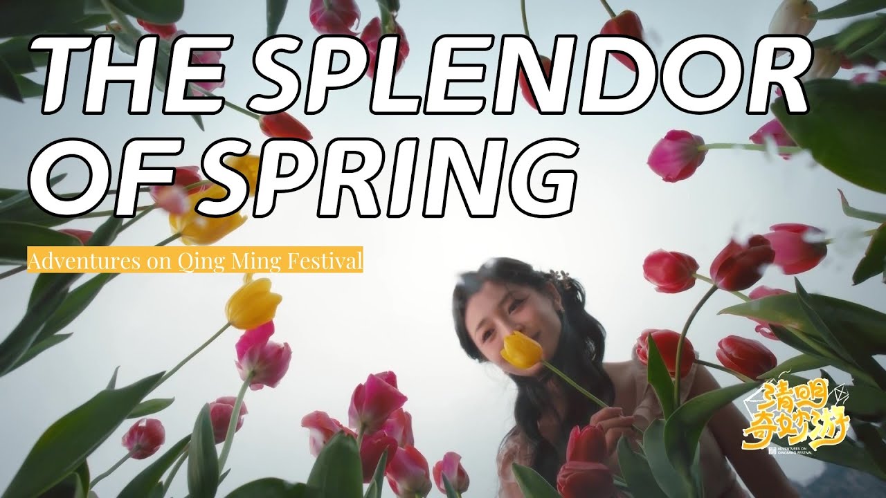 2024 Adventures on Qingming Festival | The Splendor of Spring - YouTube