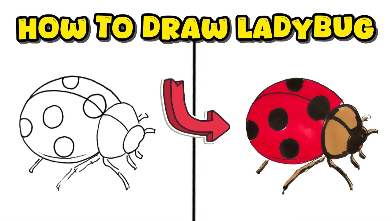How to Draw a Ladybug – Simple and Adorable Insect Drawing for ...