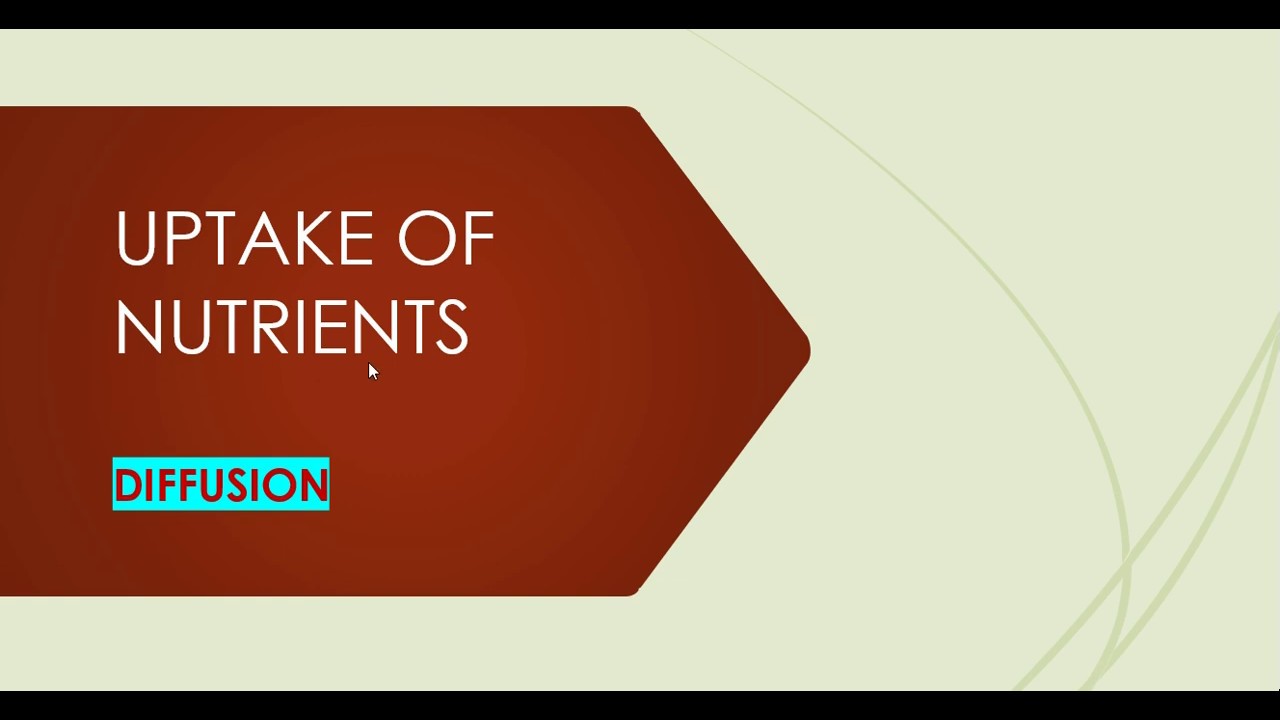 UPTAKE OF NUTRIENTS II DIFFUSION II Part 1 II MicroBiology II - YouTube