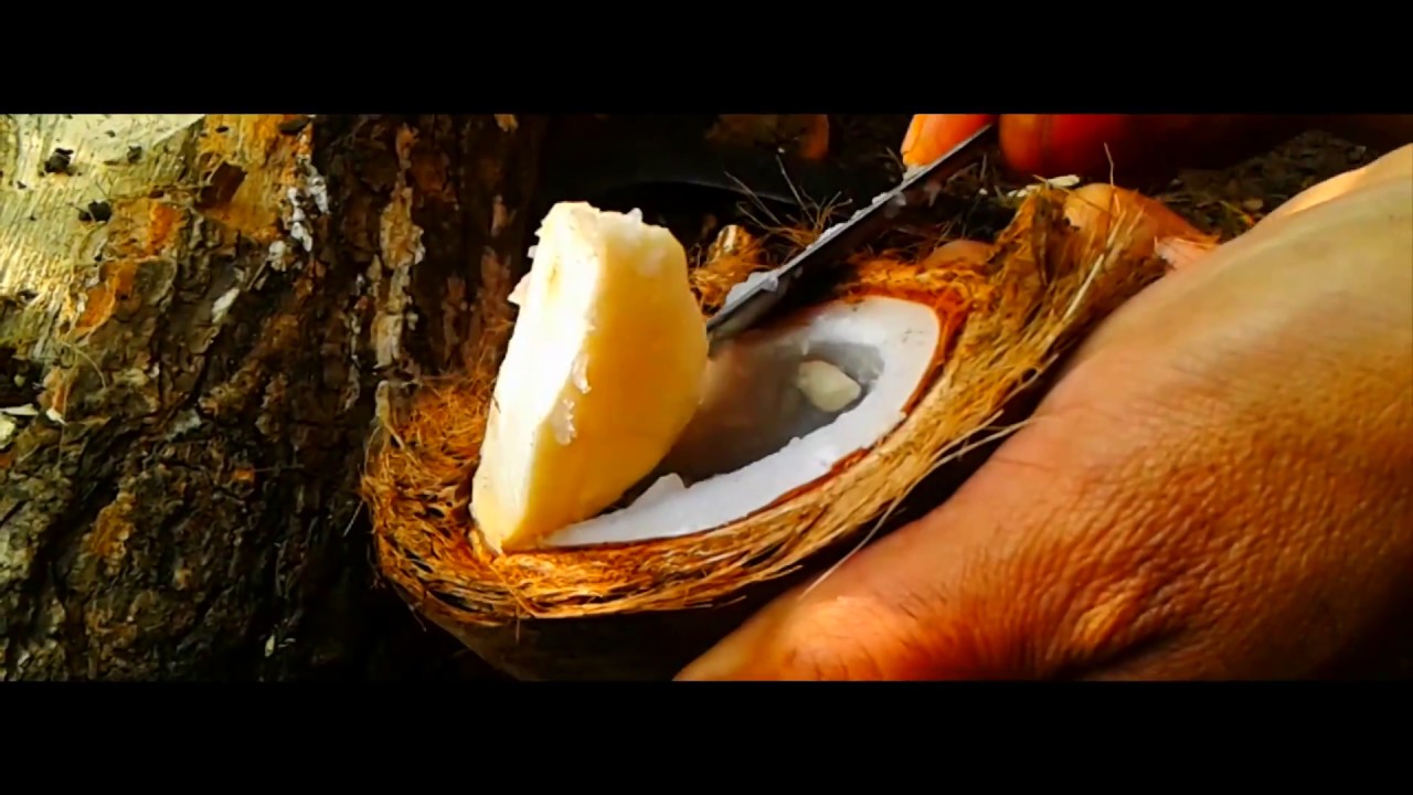 Eating Palm Fruit In My Village YouTube Eating Palm Fruit In My Village YouTube