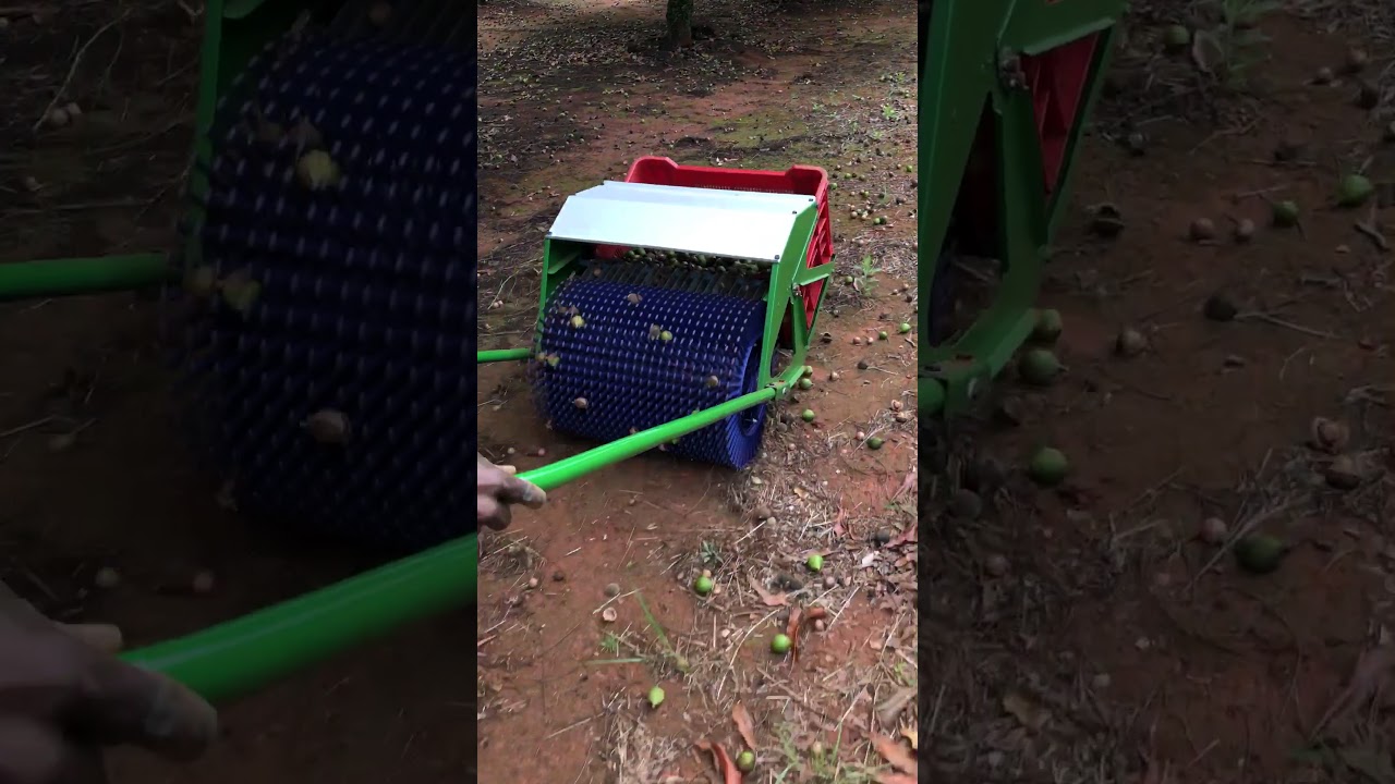 Macridge Macadamia Harvester - YouTube