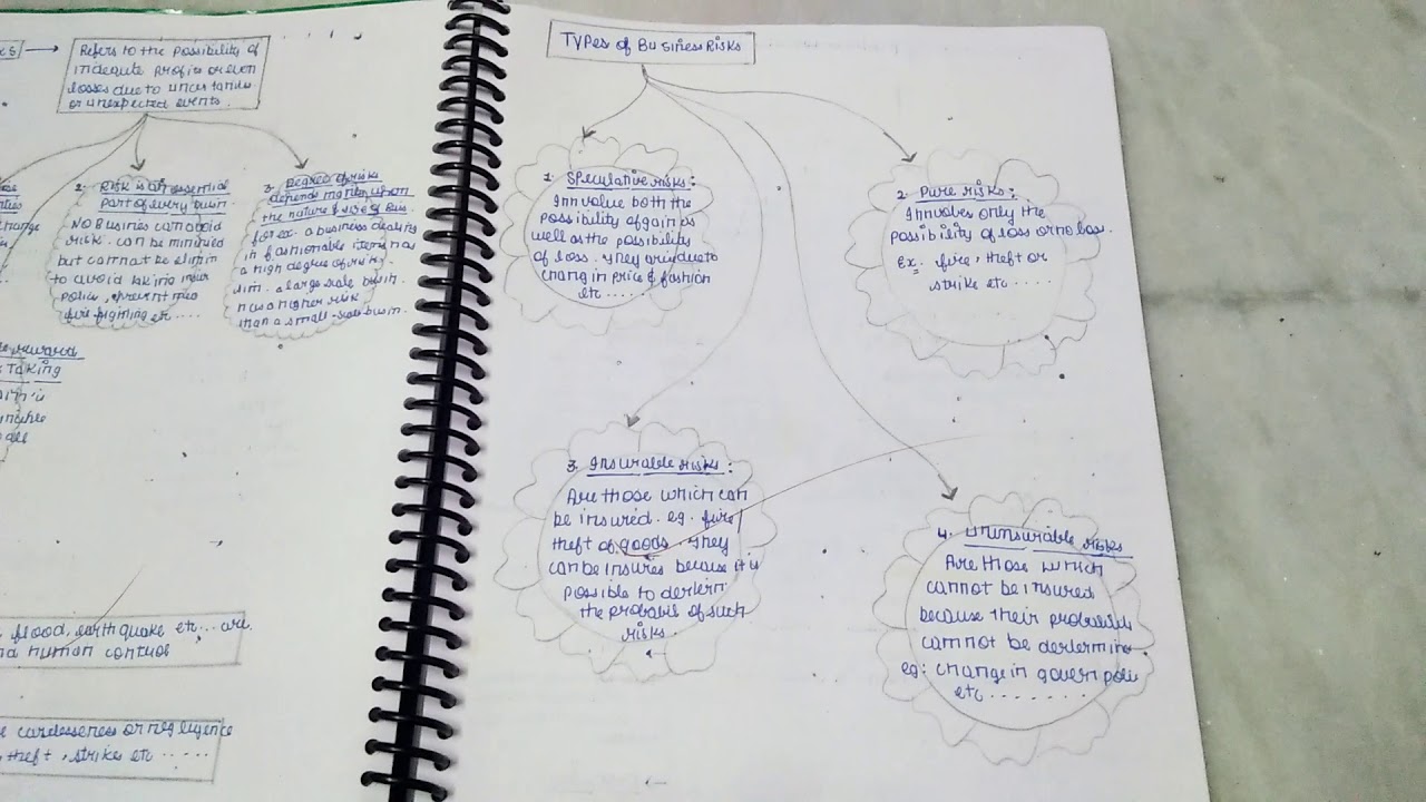 Class 11 cbse bst notes ch 1 - YouTube