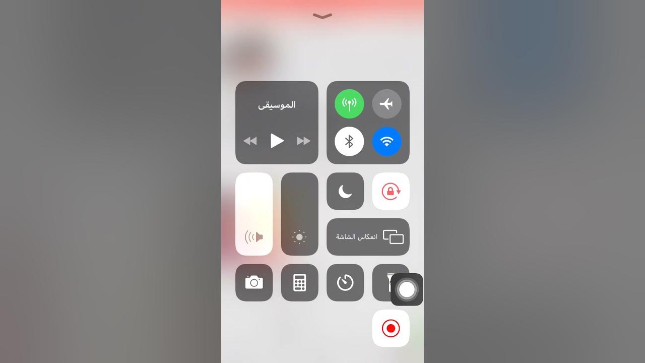 سالب يعرض مكوته ممحون مرررره 👙👙👙🤭انستا حقه Salpm Youtube