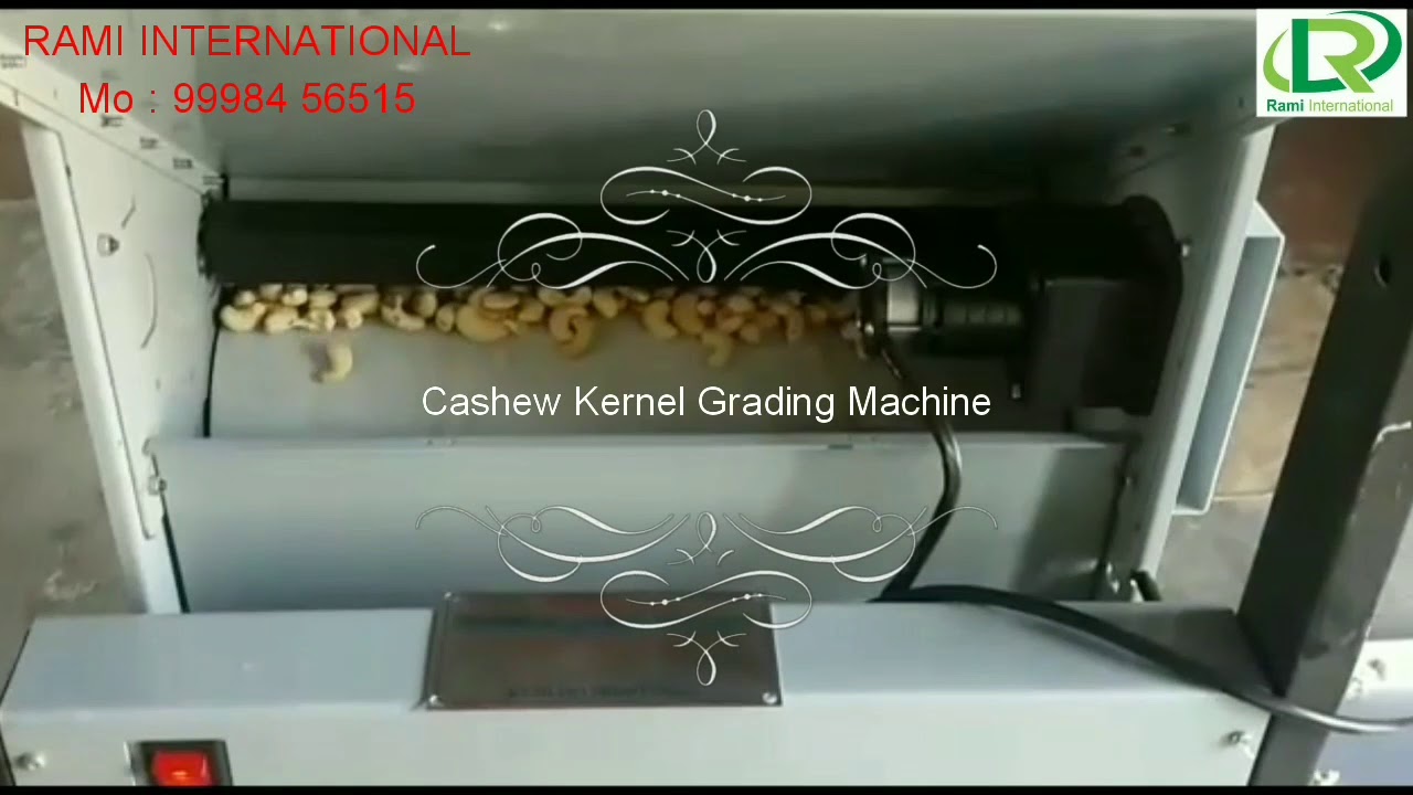 Cashew Kernel Grading Machine By Rami International (Mo : 99984 56515 ...