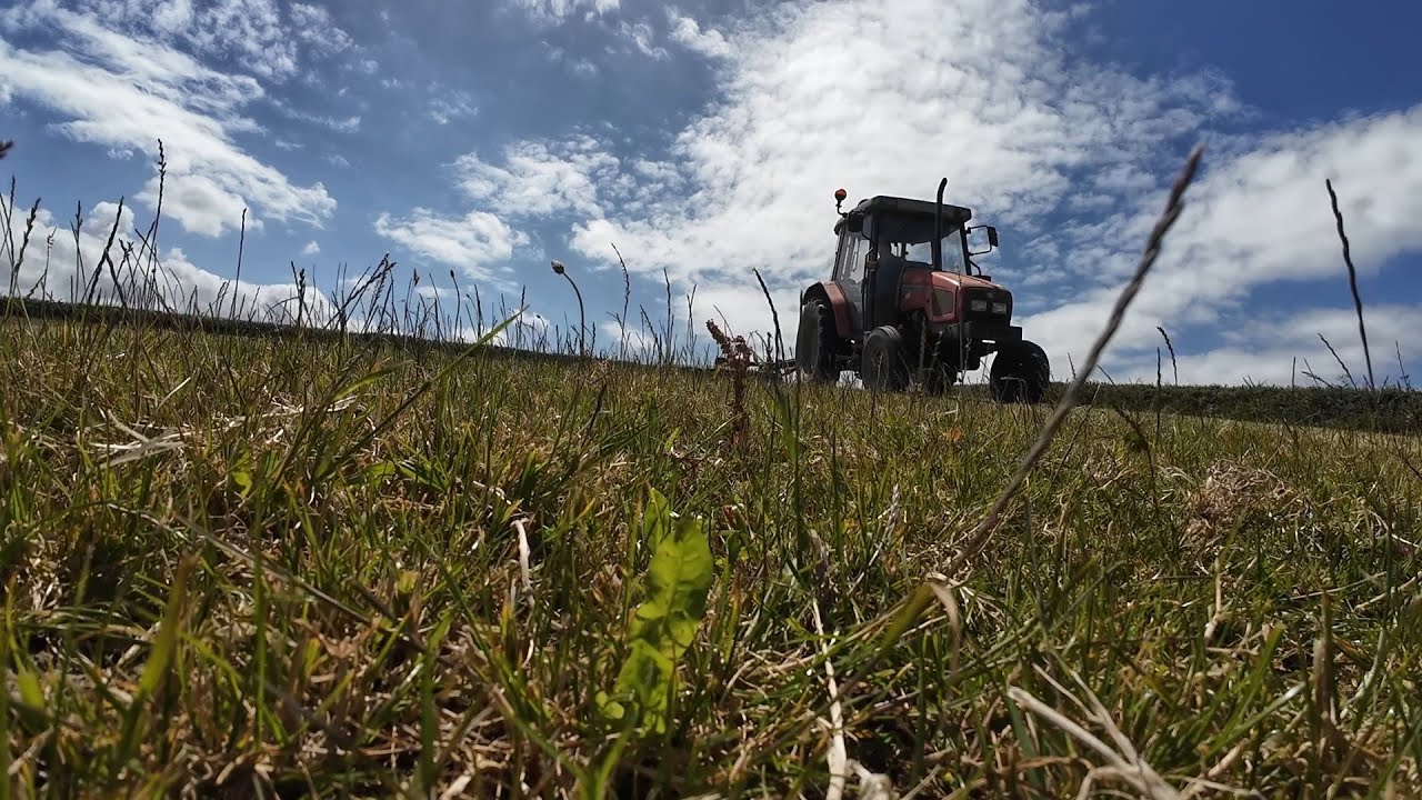 Weed cutting and a trip out of Cornwall - YouTube