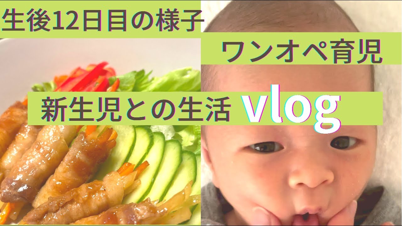 新生児との生活 Vlog 生後12日目のワンオペ育児とママの食事記録 Youtube