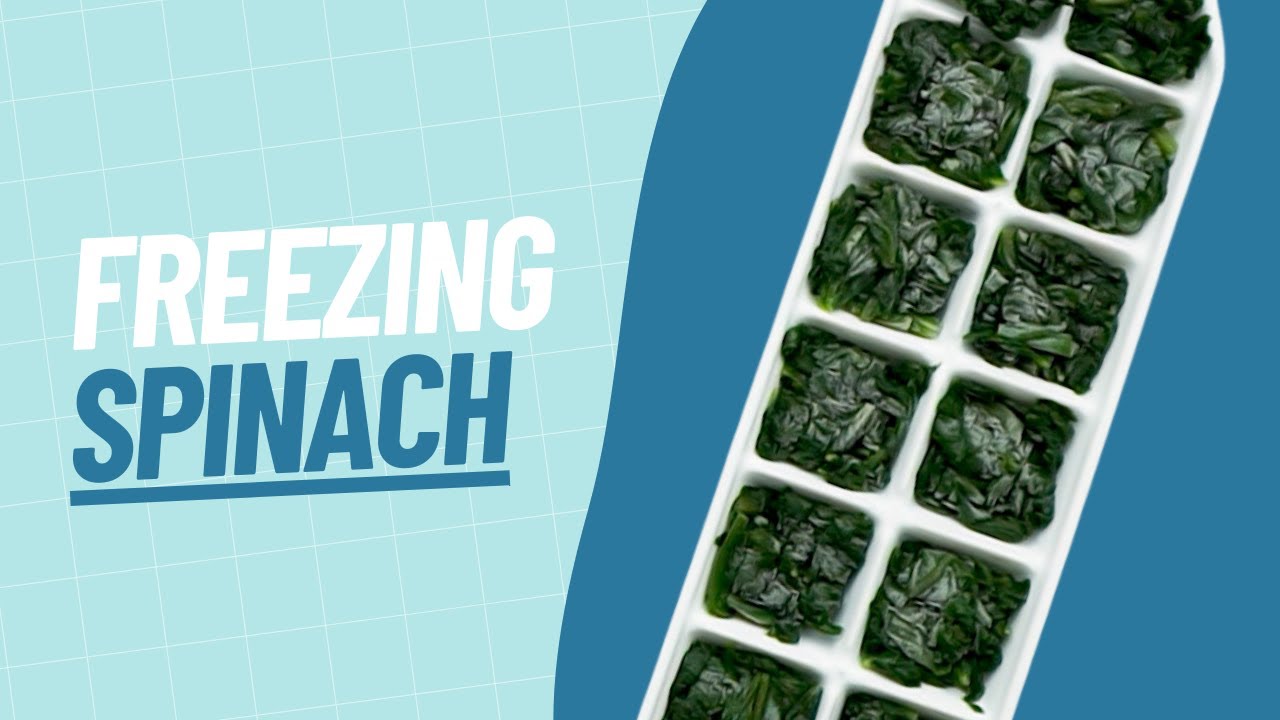 How to Freeze Spinach | Our Method for Freezing Spinach - YouTube
