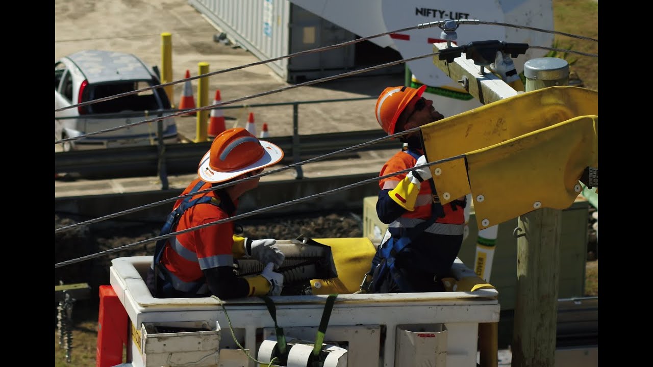 Wildlife Protection Covers For Utility Assets - YouTube