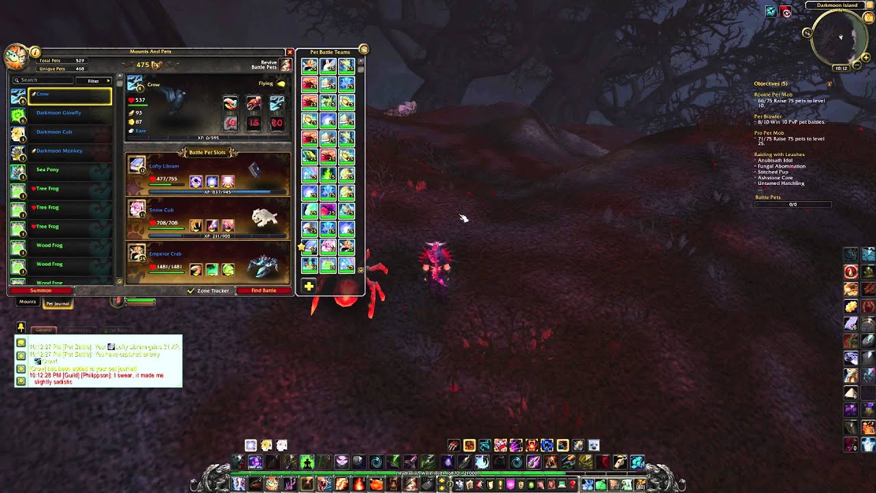 World of Warcraft Pet Battles: Gotta Collect Them All! Crow - YouTube