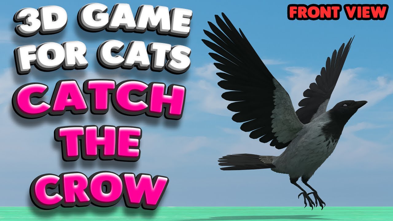 3D game for cats | CATCH THE CROW (front view) | 4K, 60 fps, stereo ...