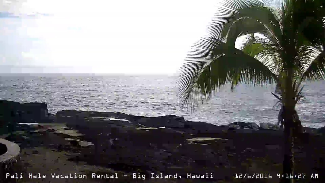 Pali Hale Live Stream from Puna Coast of Kea'au, Big Island Hawaii ...