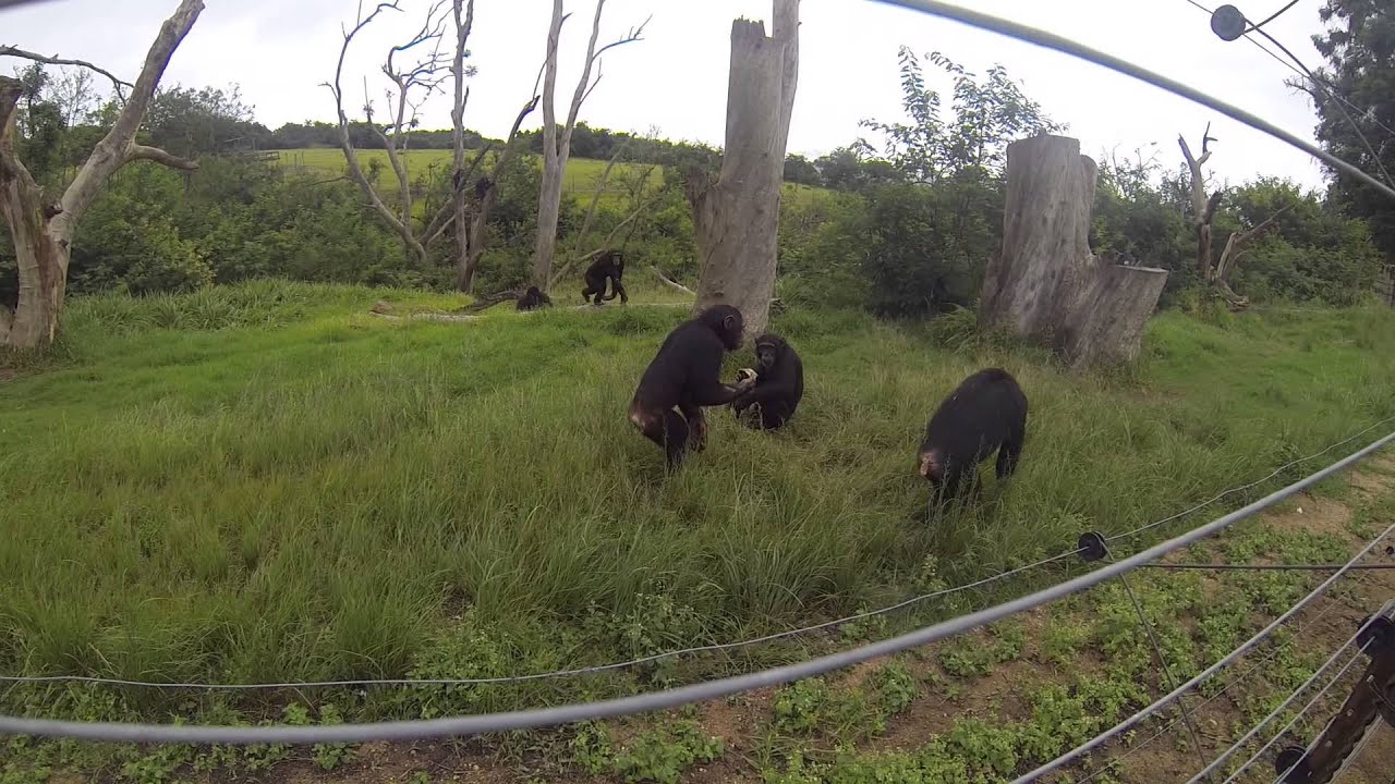 Group 1( Charles and Jess) going out for breakfast here at The Jane ...