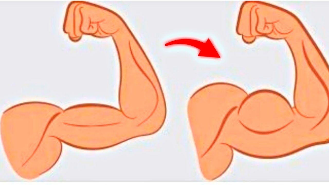 The Best Biceps Exercise! (These Are Very Simple And Fast Exercises ...