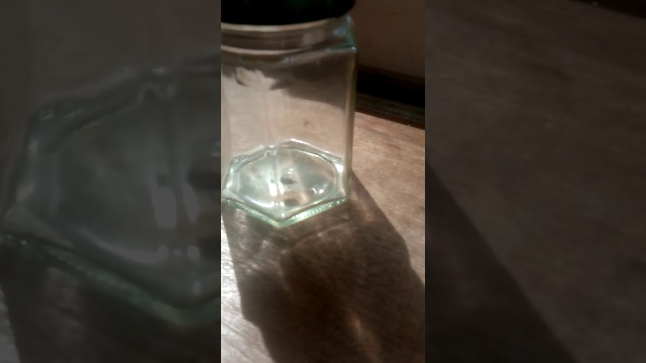Fly in jar! - YouTube