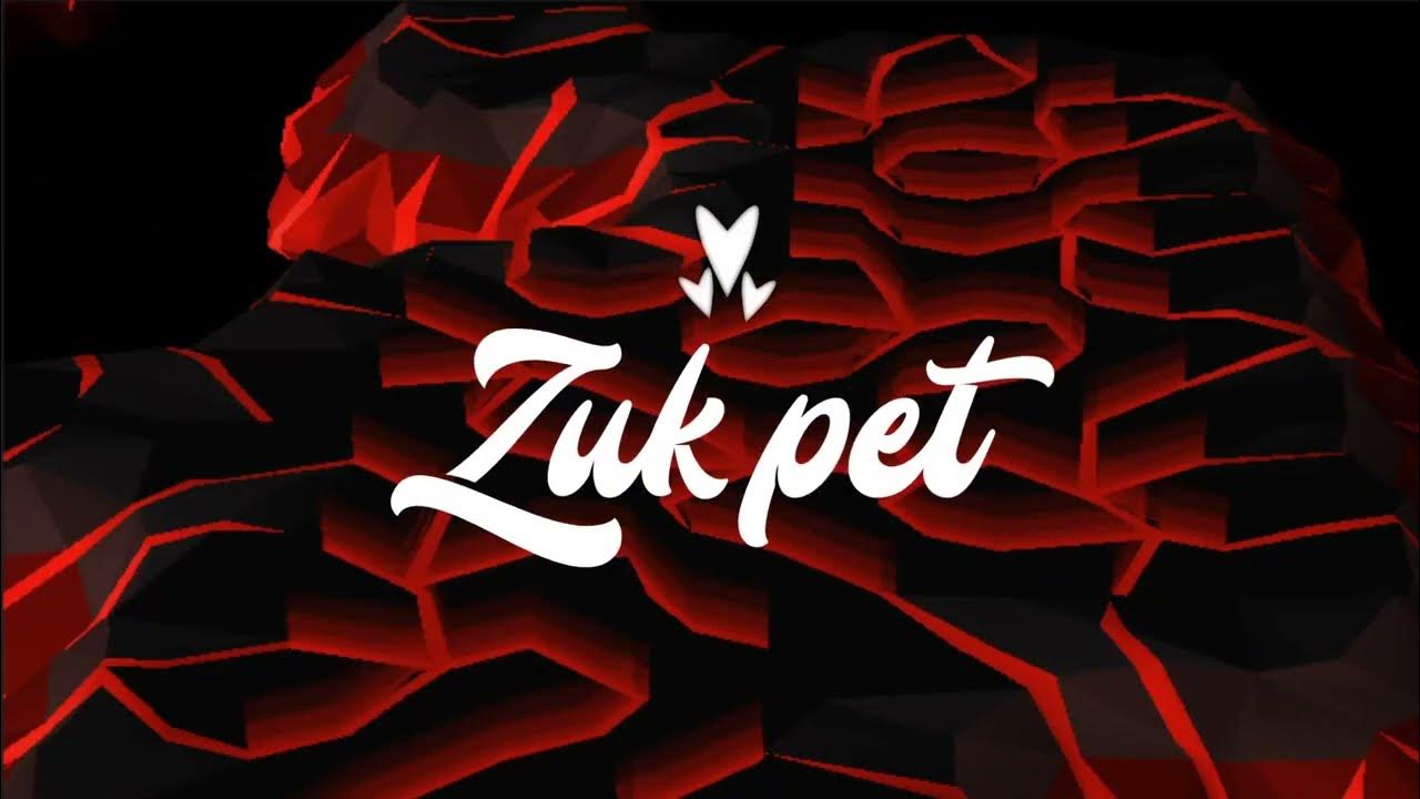 My journey to Zuk pet - YouTube