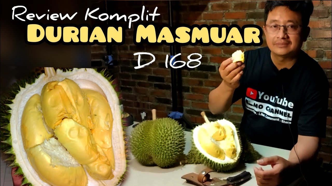 Review Komplit Durian masmuar D168 Pasuruan - YouTube