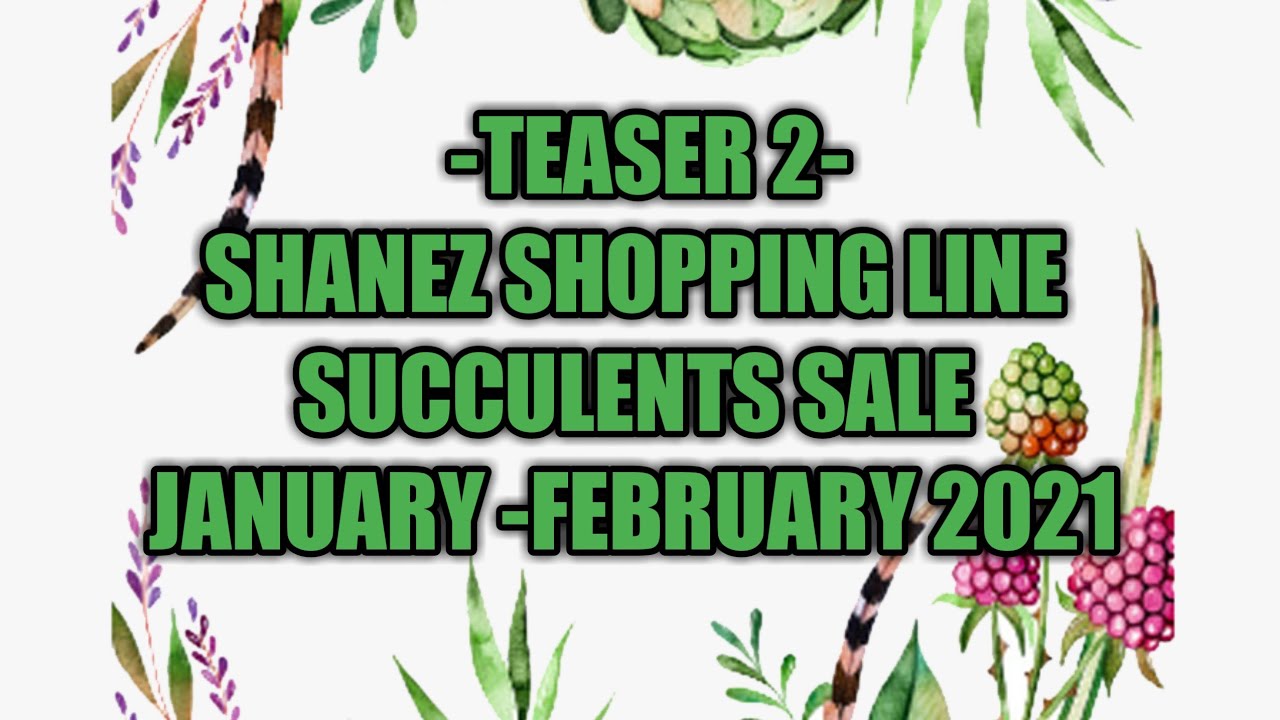 SHANEZ SHOPPING LINE SUCCULENT'S SALE TEASER #2 | JANUARY 24 -FEBRUARY ...
