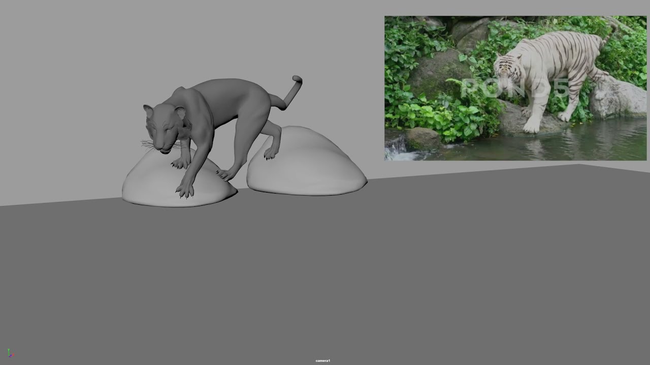 Quadruped Animation (Edits) - YouTube