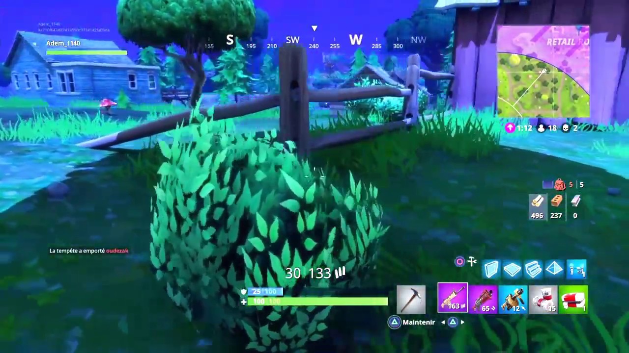 Top #1 Fortnite Full Bush |Buisson - YouTube