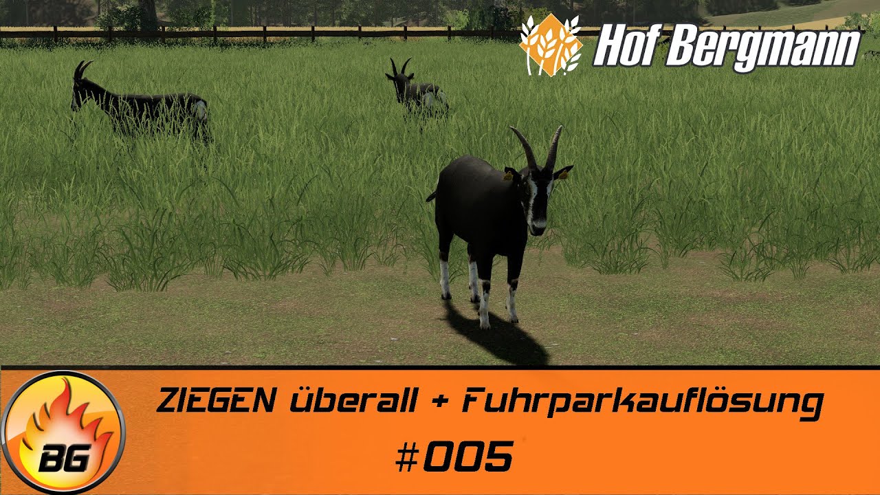 LS19 - Hof Bergmann 2.0 #005 | ZIEGEN überall + Fuhrparkauflösung ...