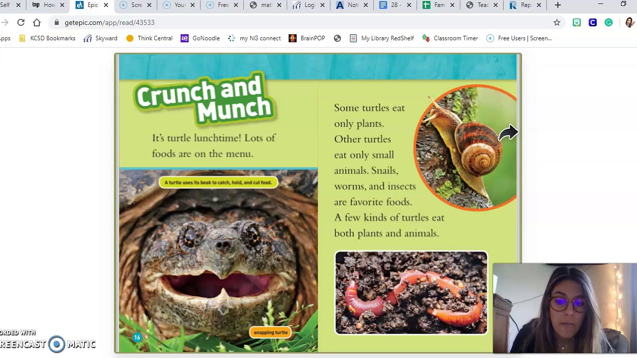 "Turtles" Read Aloud - YouTube