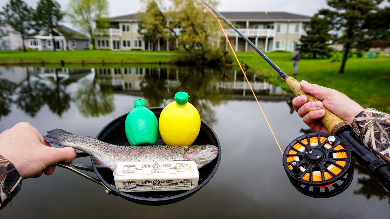 URBAN Trout CATCH CLEAN COOK! (Fly Fishing) - YouTube