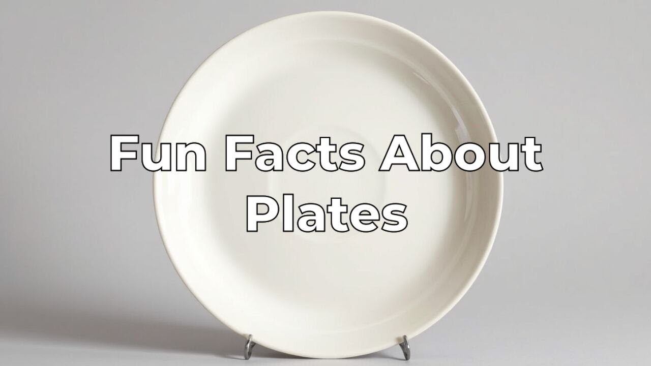 Fun Facts About Plates - YouTube