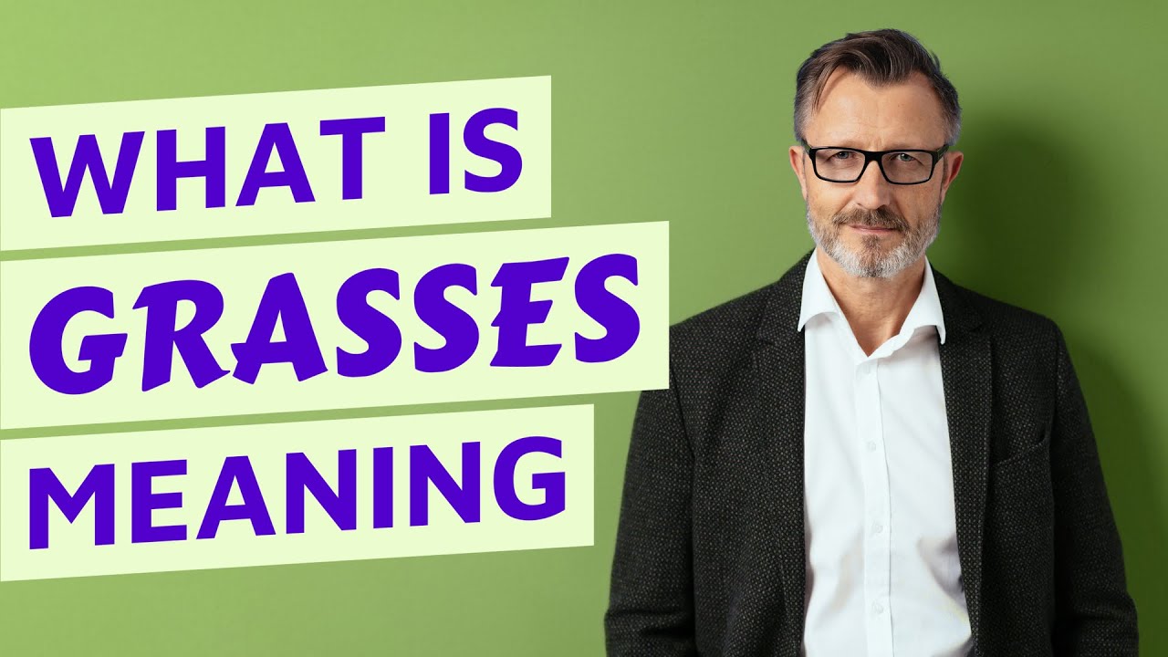 Grasses | Meaning of grasses 📖 - YouTube