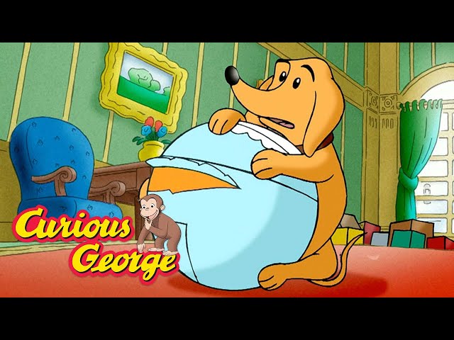 Curious George Playing with George and Hundley FULL EPISODE Kids ...
