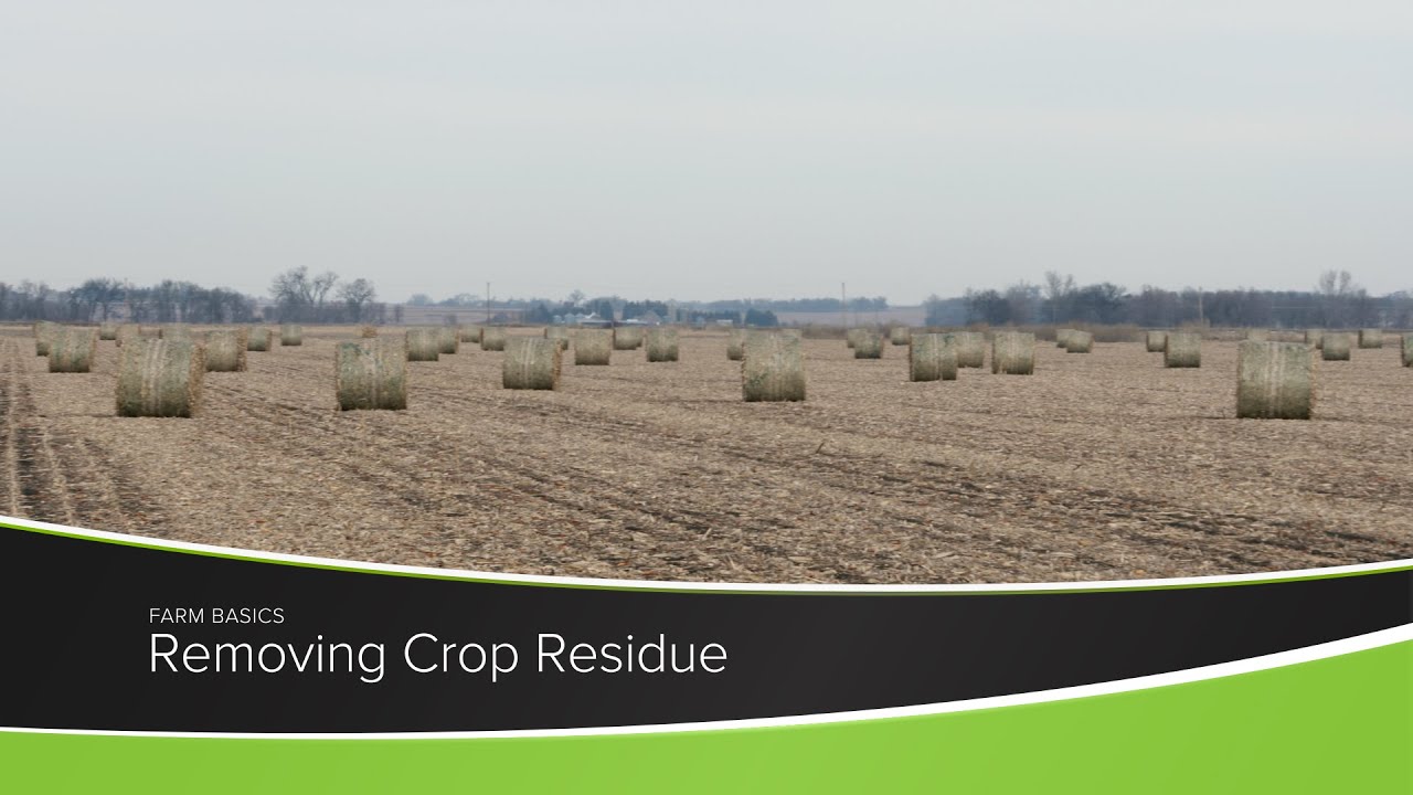 Removing Crop Residue - YouTube