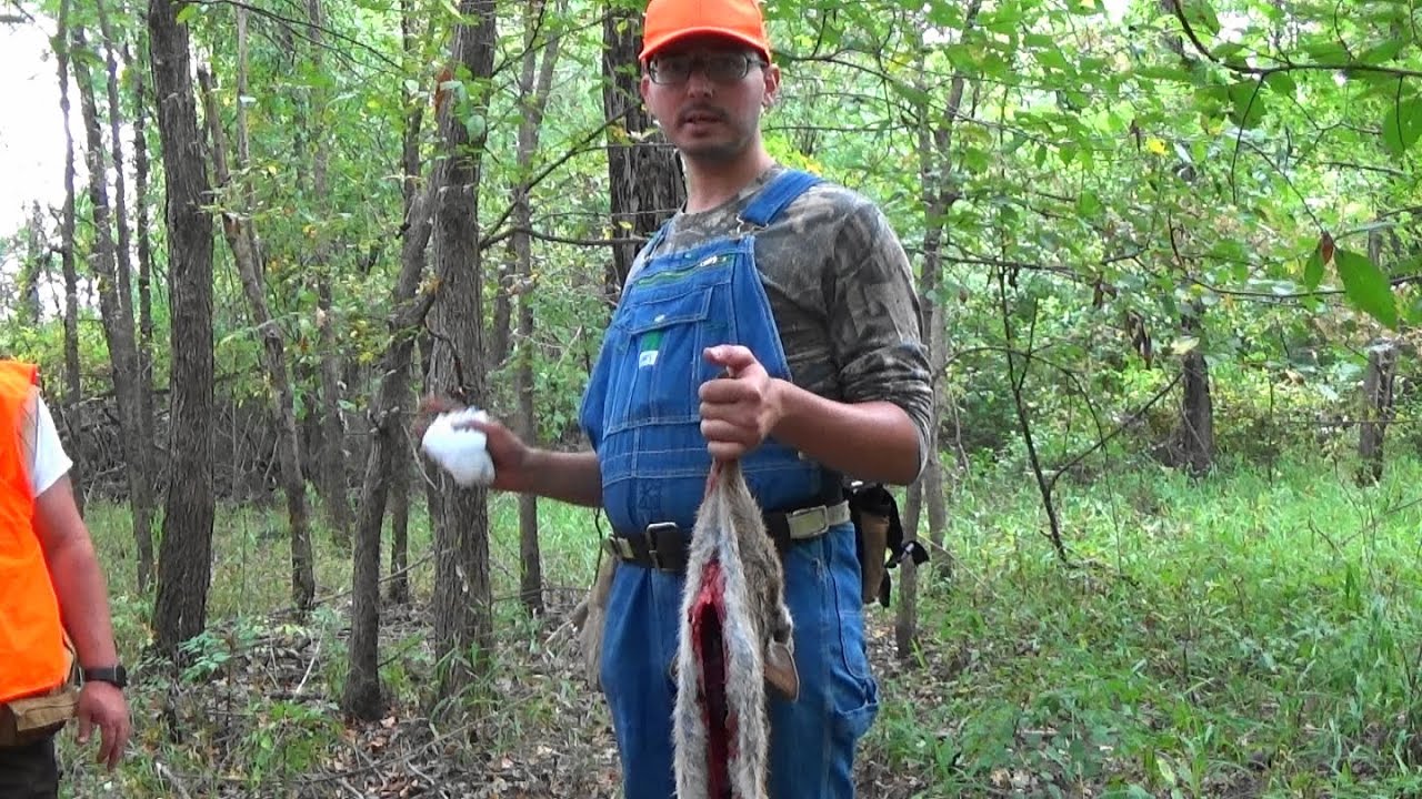 Alabama rabbit season 2020 day 2 through 6(warning graphic) - YouTube