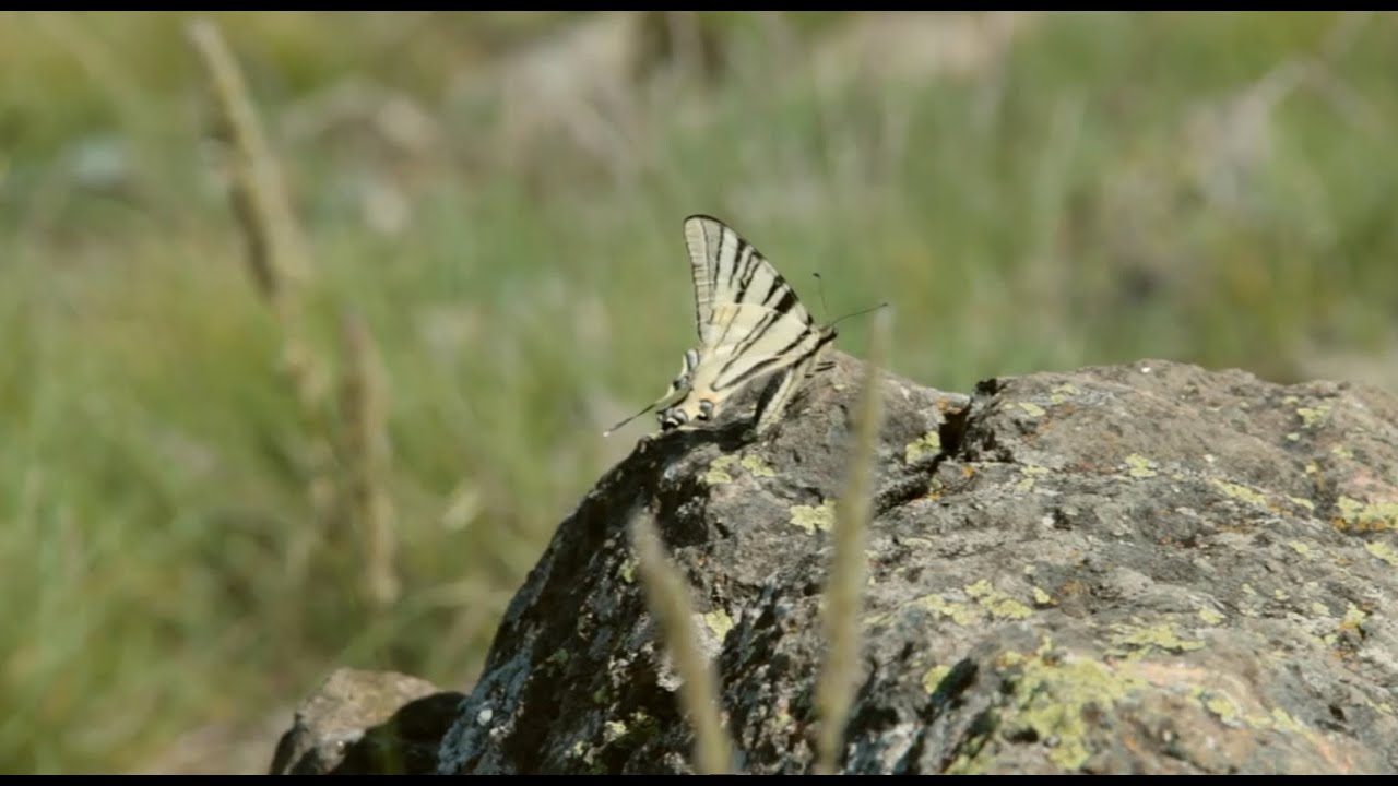 Beauty of Kosovo - Bajgora - YouTube