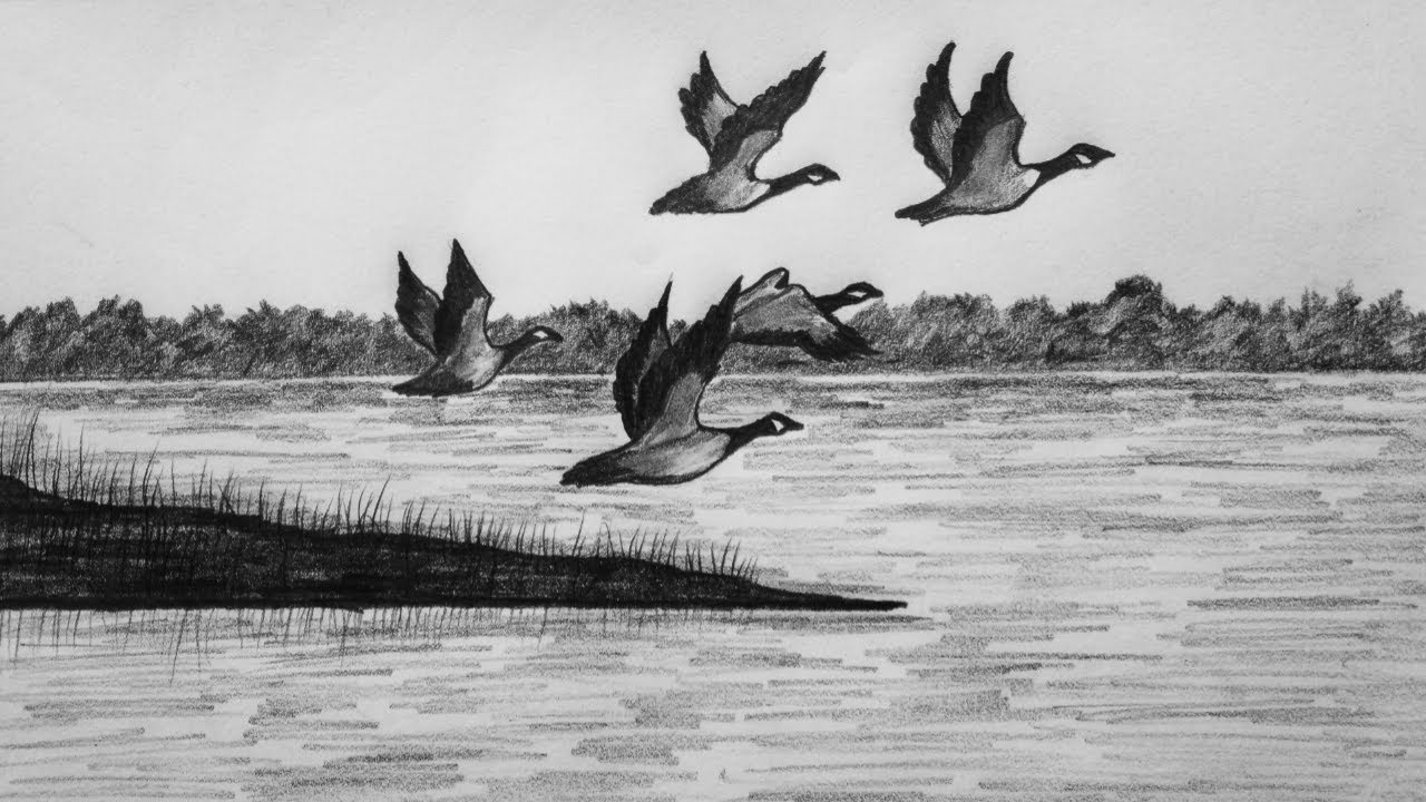How to draw flying birds & river view step by step | Pencil art step by ...